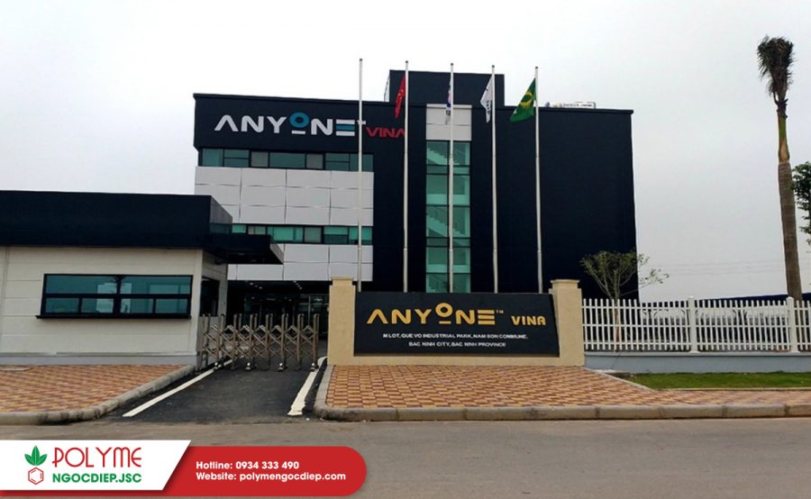 CÔNG TY TNHH ANYONE VINA | Polyme Ngọc Diệp